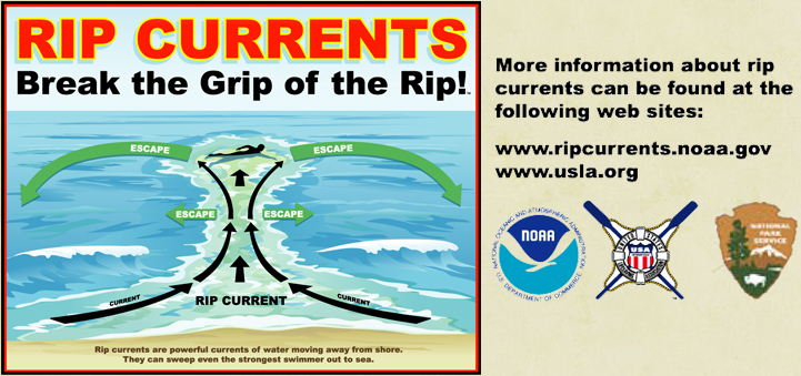 How can I avoid the dangers of rip currents? (There have been many ...